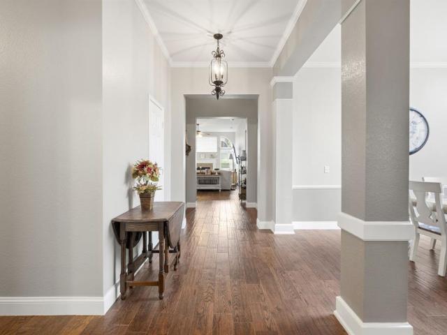 1004 Dover Heights Trail