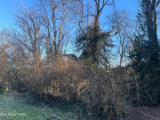 1004 Leconte Rd, Knoxville, TN 37914 | MLS #1326