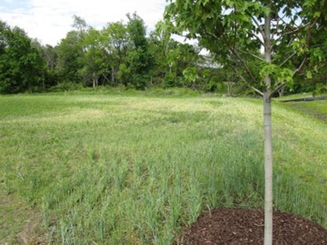 1004 Palisades Ct, Iowa Falls, IA 50126