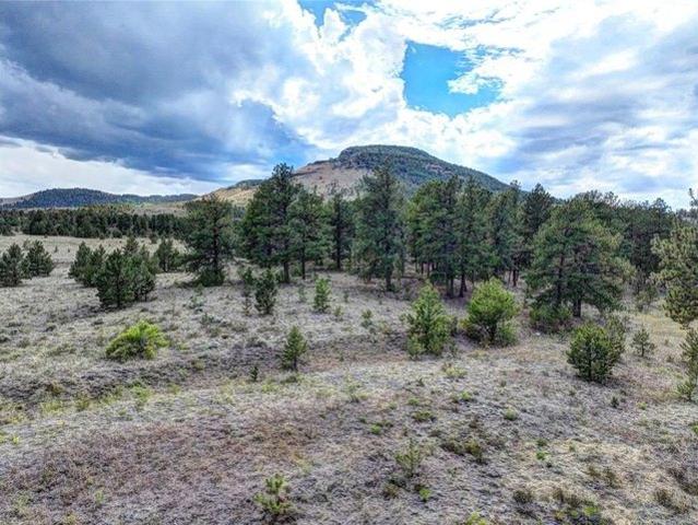 10050 County Rd 102 Lot 91, Guffey, CO 80820