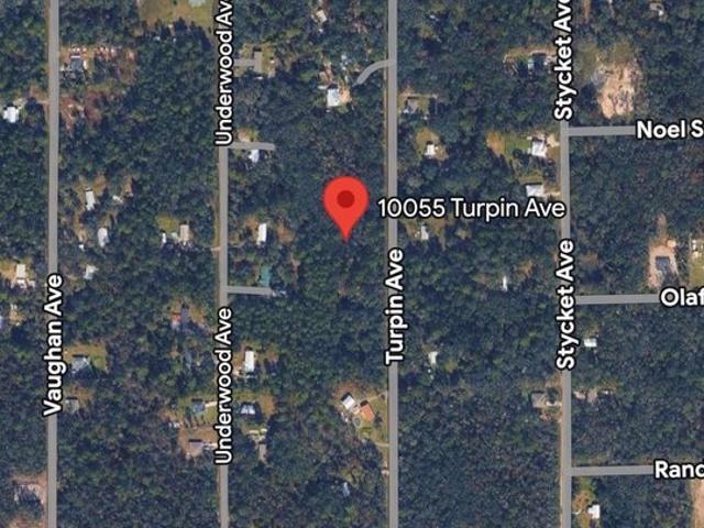 10055 Turpin Ave, Hastings, FL 32145