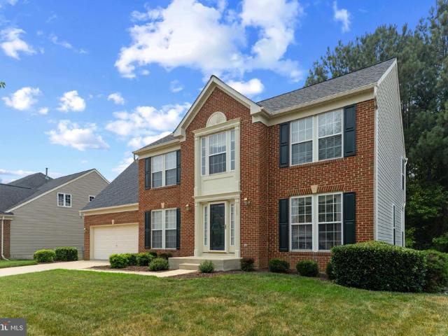1005 Andean Goose Way