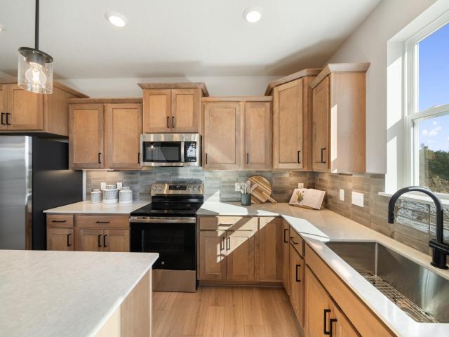 1005 Annagaire Curv, Rosemount, MN 55068 | MLS #7004