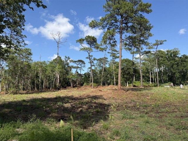 1005 Juniper Dr, Christmas, FL 32709