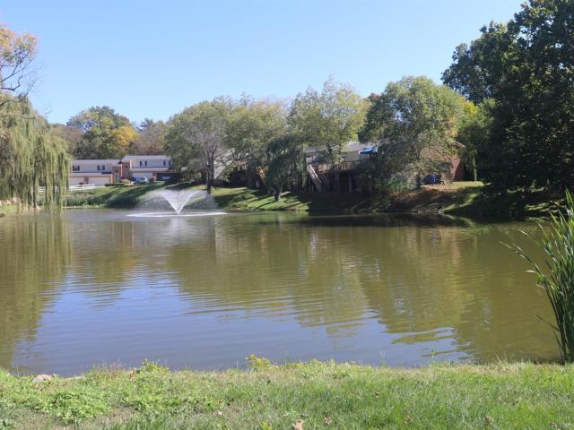 1005 Lakefront Drive