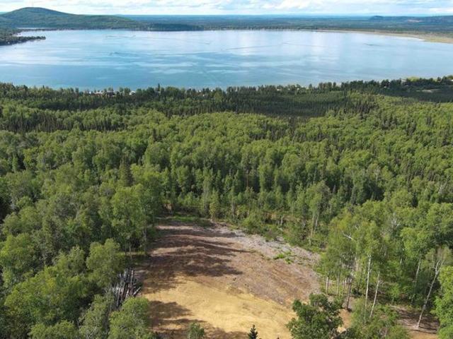10060 White Birch Rd Lot 1, Salcha, AK 99714