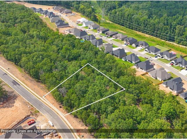1006 Fern Ridge Rd Lot 9