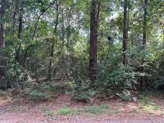 1006 Jefferson River Cir, Conroe, TX 77316 MLS 14768408