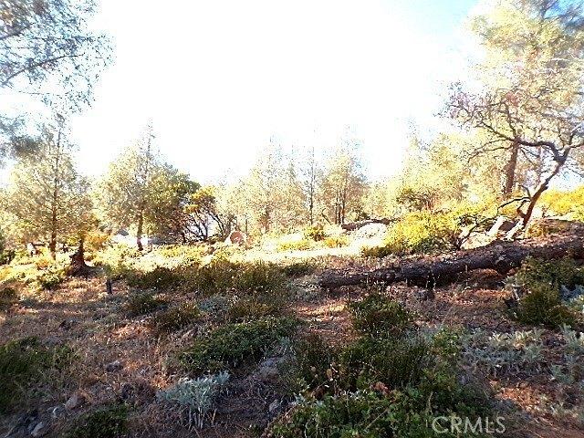 10070 El Capitan Way, Kelseyville, CA 95451