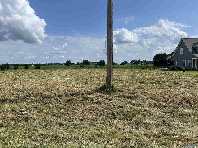 10074 Snake Rd, Athens, AL 35611