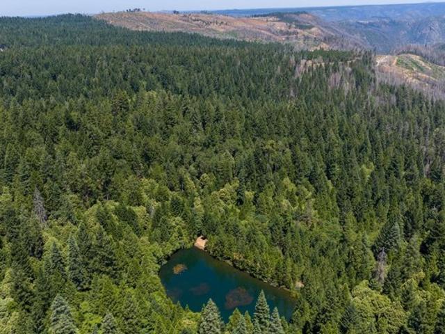 10075 White Fir Rd, Georgetown, CA 95634