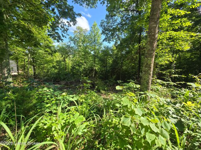 1007 Hunting Ground Rd