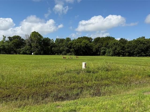 1008 Chuckwagon Trl, Angleton, TX 77515