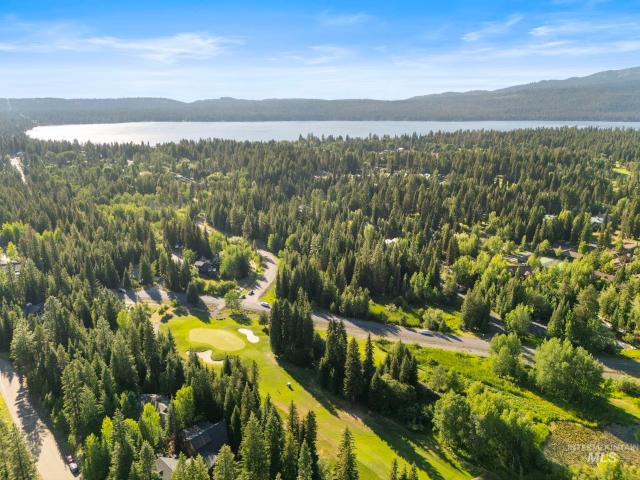 1008 Penstemen Pl, McCall, ID 83638 | MLS #98971
