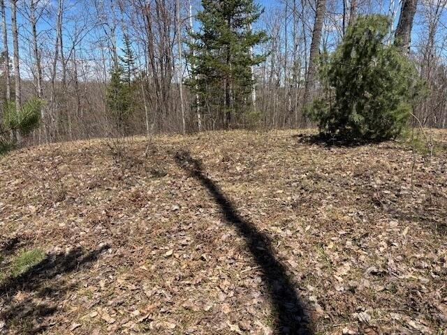 10098 N Old # 27, Frederic, MI 49733