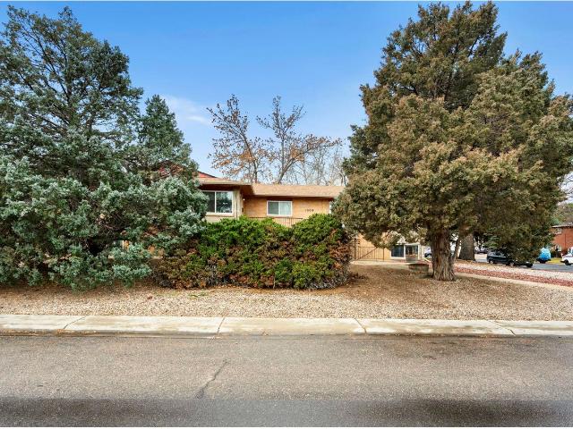 1009 McHugh St, Fort Collins, CO 80524 | MLS #1055 | Compass