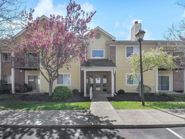 1009 Cedar Ridge Dr Apt 4, Pierce Township, OH 45245