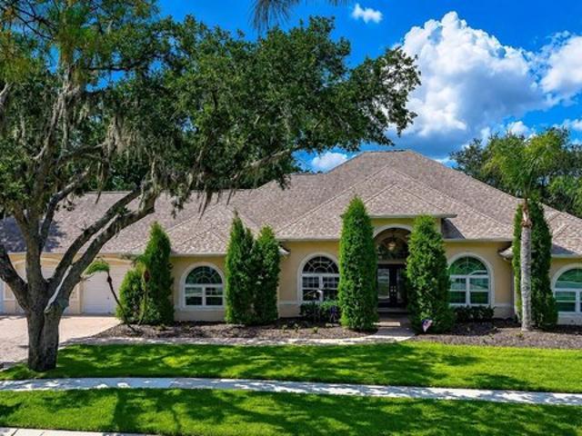 1009 Emerald Creek Dr, Valrico, FL 33596
