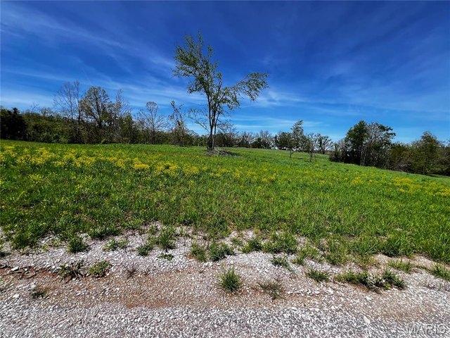 1009 Legacy Ln, Perryville, MO 63775
