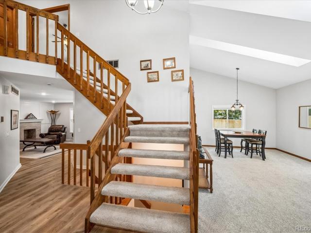 10003 Armadillo Drive