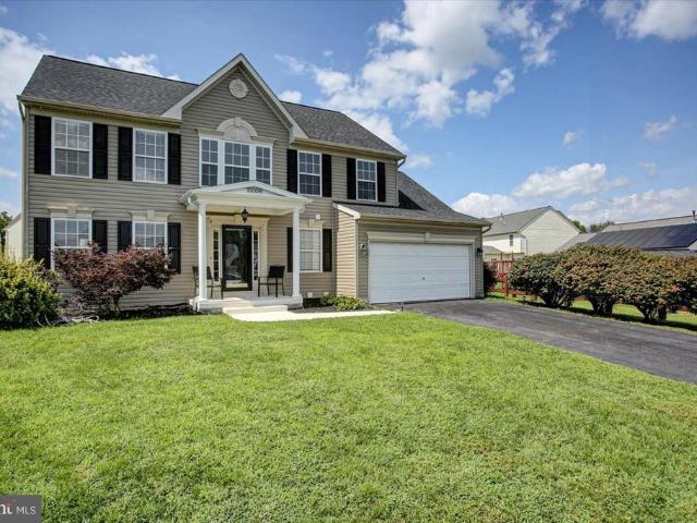 10004 Shirley Court