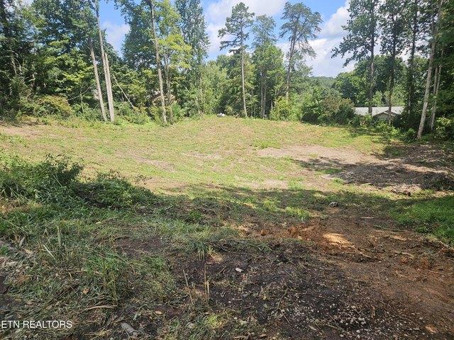 10004 Sugar Pine Ct, Powell, TN 37849