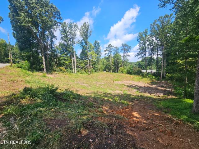 10004 Sugar Pine Court