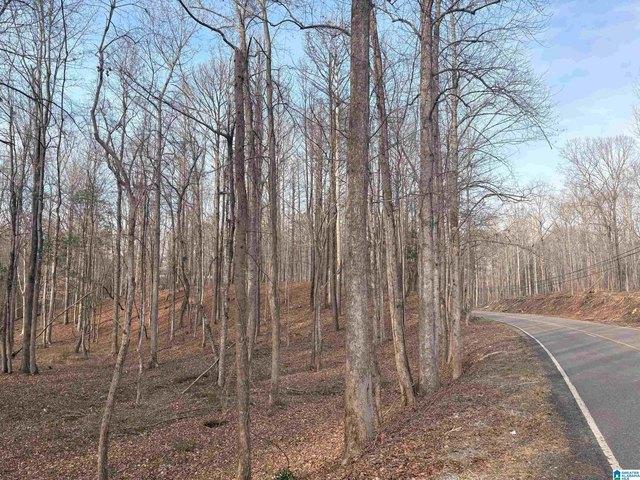 10005 Truman Aldrich Pkwy Lot 105, West Blocton, AL 35184