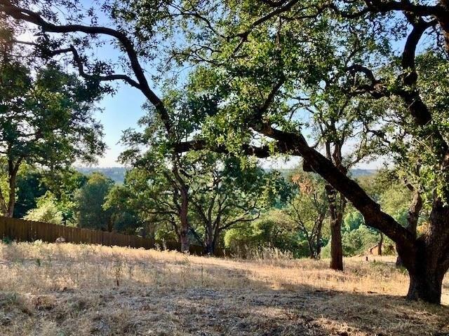 10005 River Oak Cir, Oakdale, CA 95361