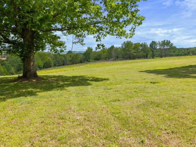 10006 Birchwood Pike