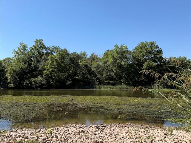 10009 lorado dr