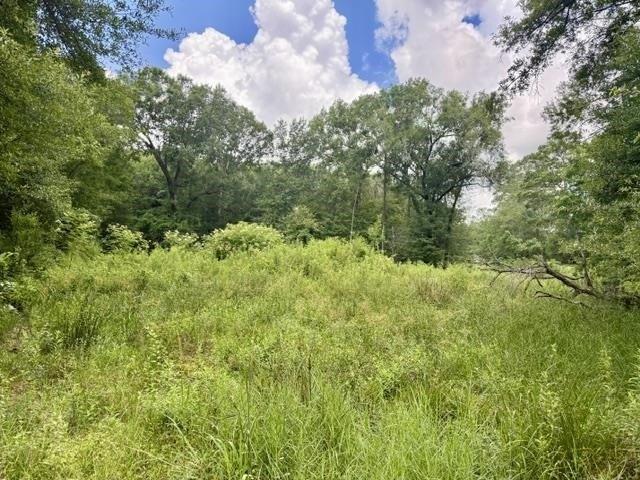 1000 Butler Rd, Vidor, TX 77662