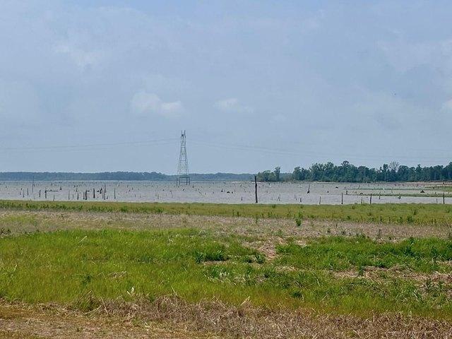 1000 County Road 471, Etoile, TX 75944