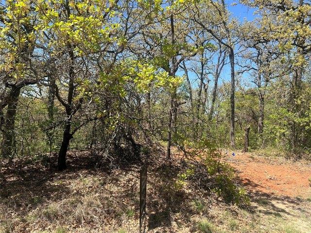 1000 Crazy Horse Trl, Burleson, TX 76028