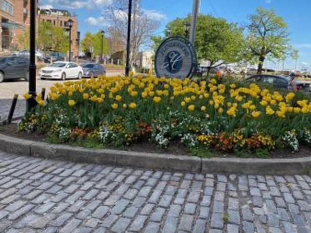 1000 Fell St #227, Baltimore, MD 21231