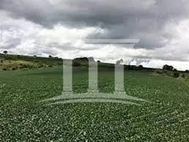 1000 HECTARES PLANTA 800 R$ 72.000.000,00