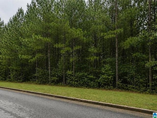 1000 Long Branch Pkwy Lot 141, Calera, AL 35040