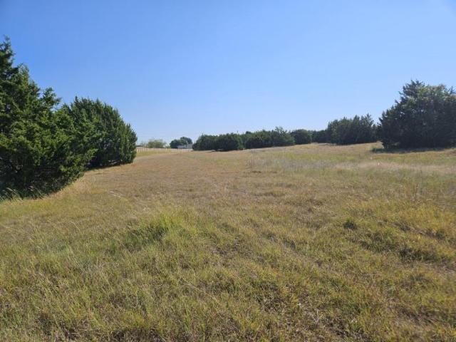 1000 S Joe Wilson Rd, Cedar Hill, TX 75104 | MLS #21072