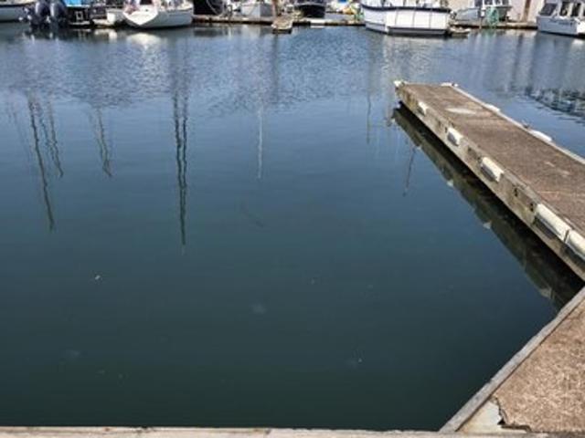 1000 SE Bay Blvd Unit M47, Newport, OR 97365