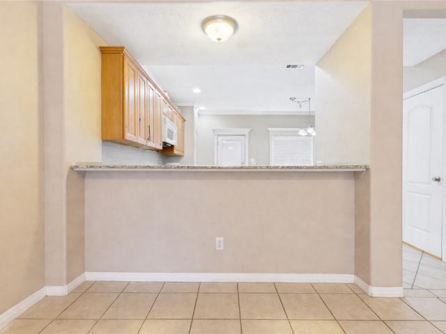 1000 Spring Loop 2103