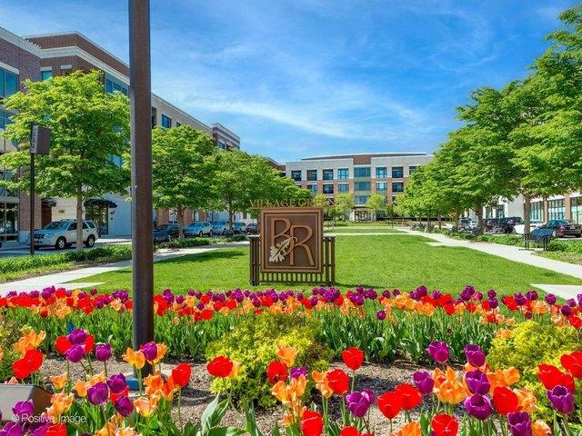 1000 Village Center Dr Unit 305, Burr Ridge, IL 60527