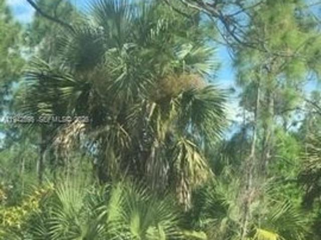 1000 W 11 St, Lehigh Acres, FL 33972
