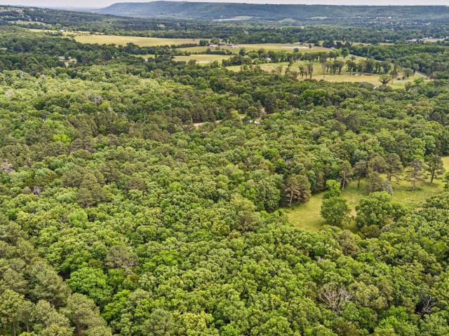 1000 W Gum Log Road