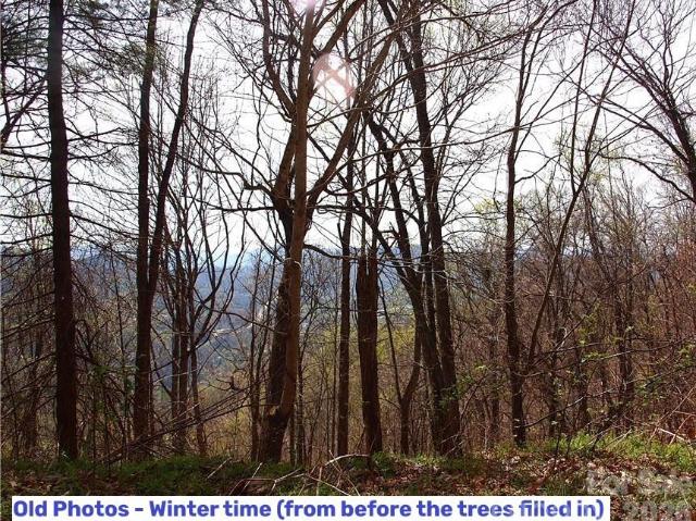 1000 Yonah Trail # 7