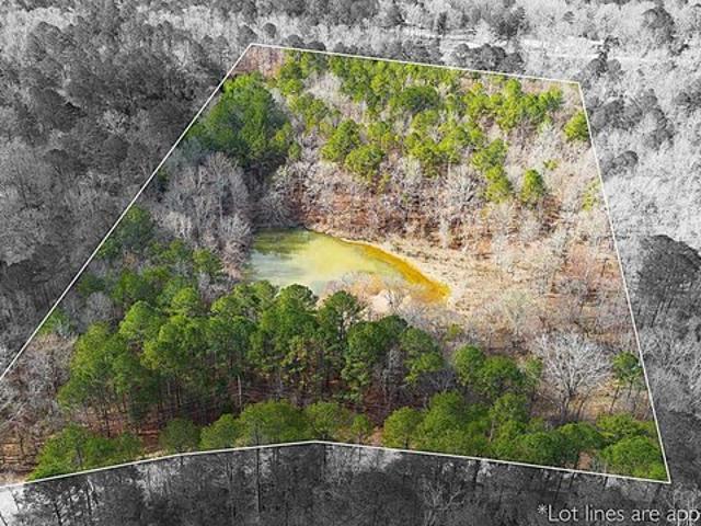 1000 1 Camp Winnataska Rd Lot 1, Pell City, AL 35128