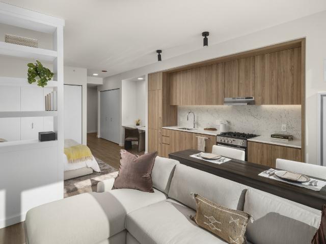 1000M Apartments 3 Bedroom Apartment for Rent at 1000 S Michigan Ave, Chicago, IL 60605 Loop