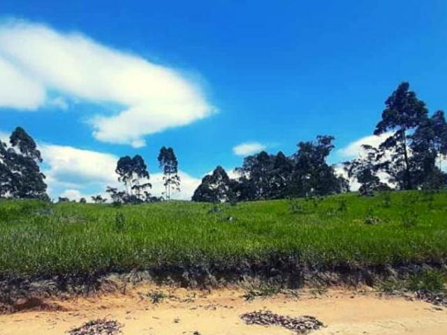 1000m² em São Roque por R$134.998 – Oportunidade Limitada