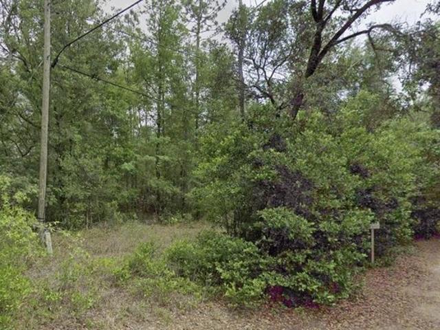 10013 N Holyoak Ter, Dunnellon, FL 34433