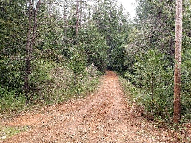 10012 LA Porte Rd, Challenge, CA 95925
