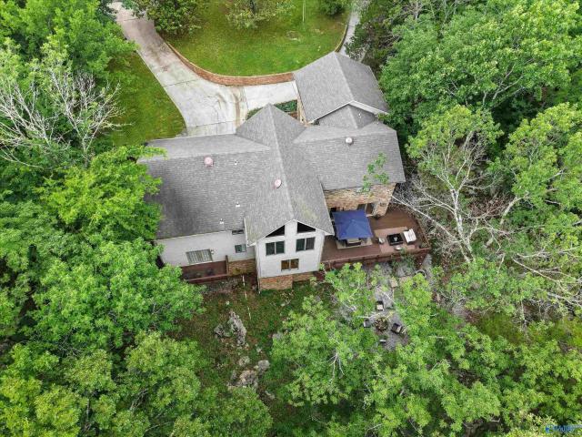10017 Torino Drive